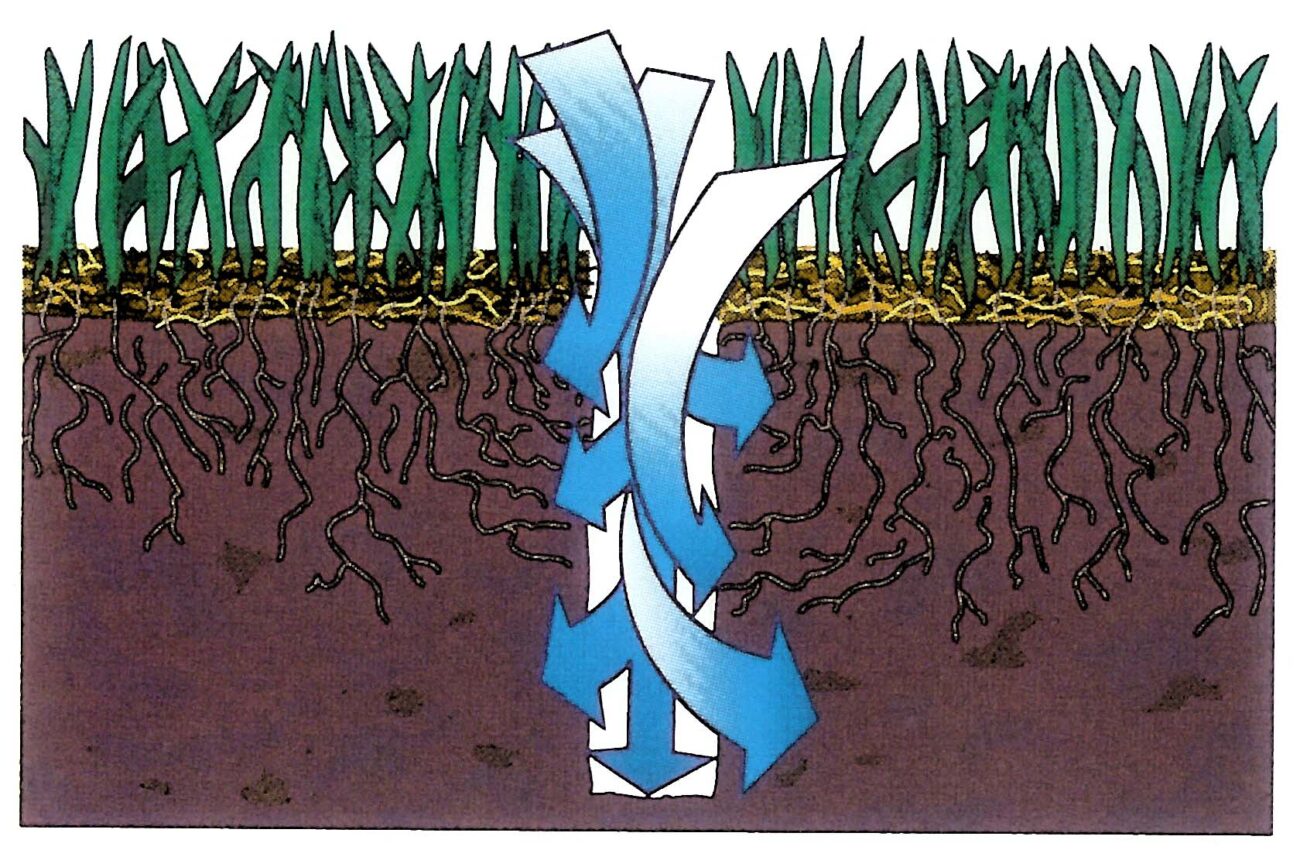 Lawn Aeration: Key Points to Know | Dr. Green Lawn Care Services