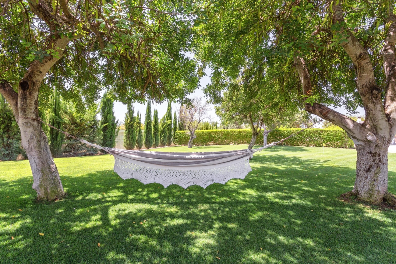 Tree and Shrub Care 101: Deep Root Tree and Shrub Fertilizing | Dr ...