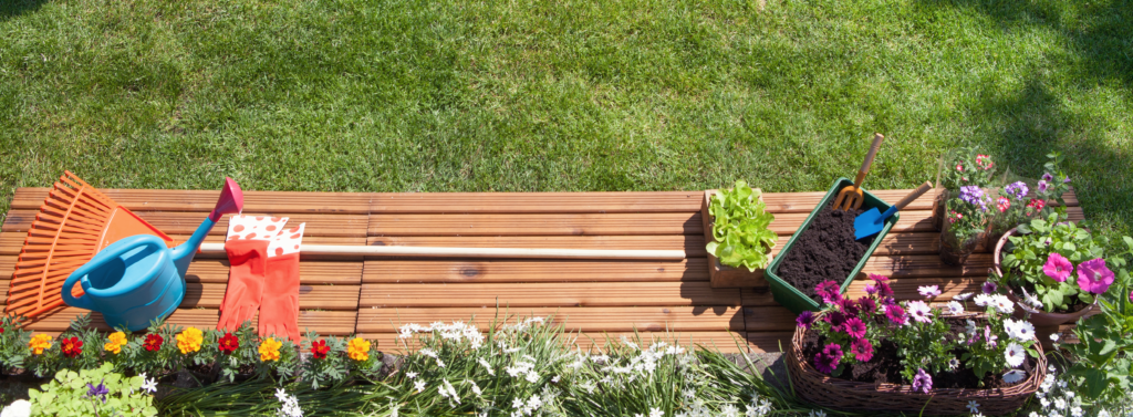 Spring Clean Up for your Lawn | Dr. Green Lawn Care Services