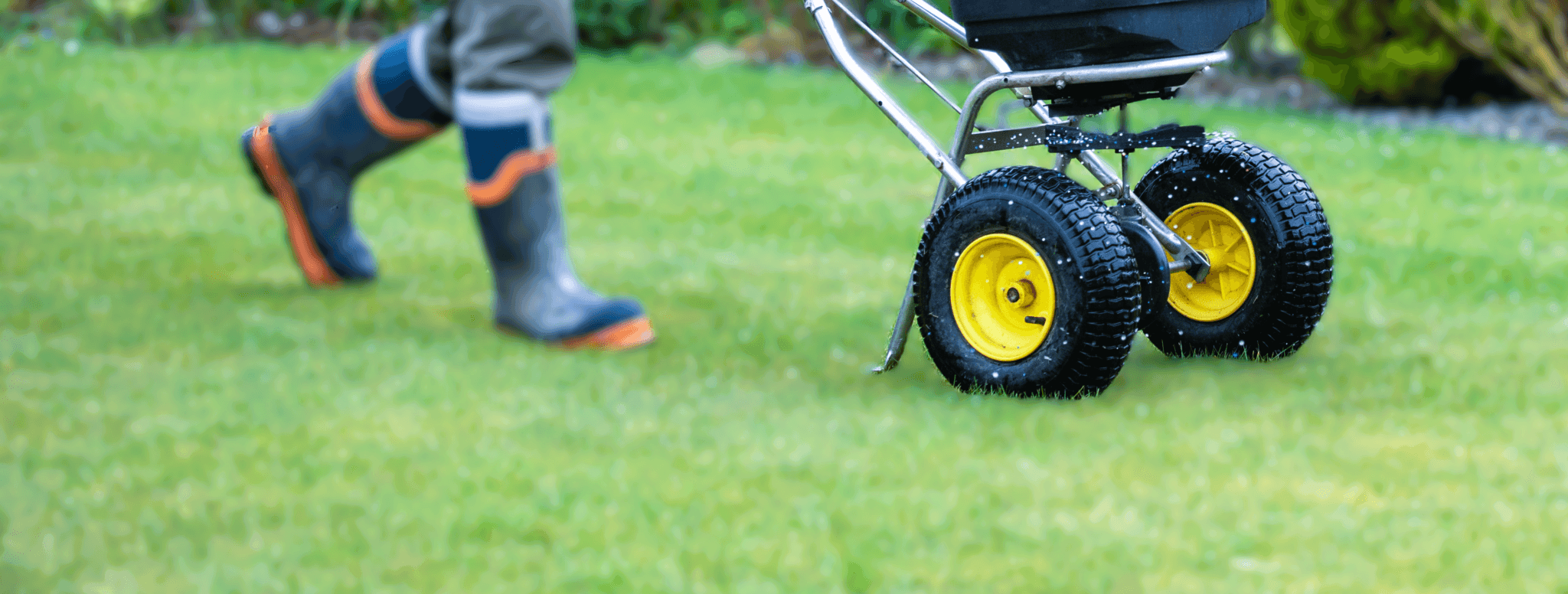 The Secret to a Lush, Green Lawn: Why Fertilizer Matters - Dr. Green